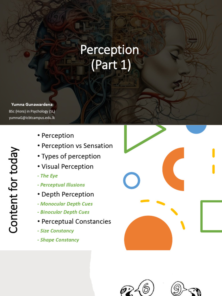 Cognitive Psychology - Lec 2 | PDF | Perception | Senses