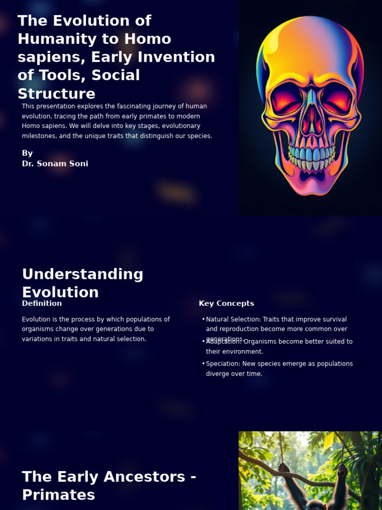 1.the Evolution of Humanity To Homo Sapiens | PDF | Homo | Bipedalism