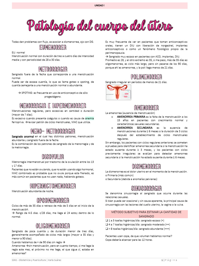 SSR 2- UNIDAD 1 | PDF | Menstruación | Mamíferos Hembras