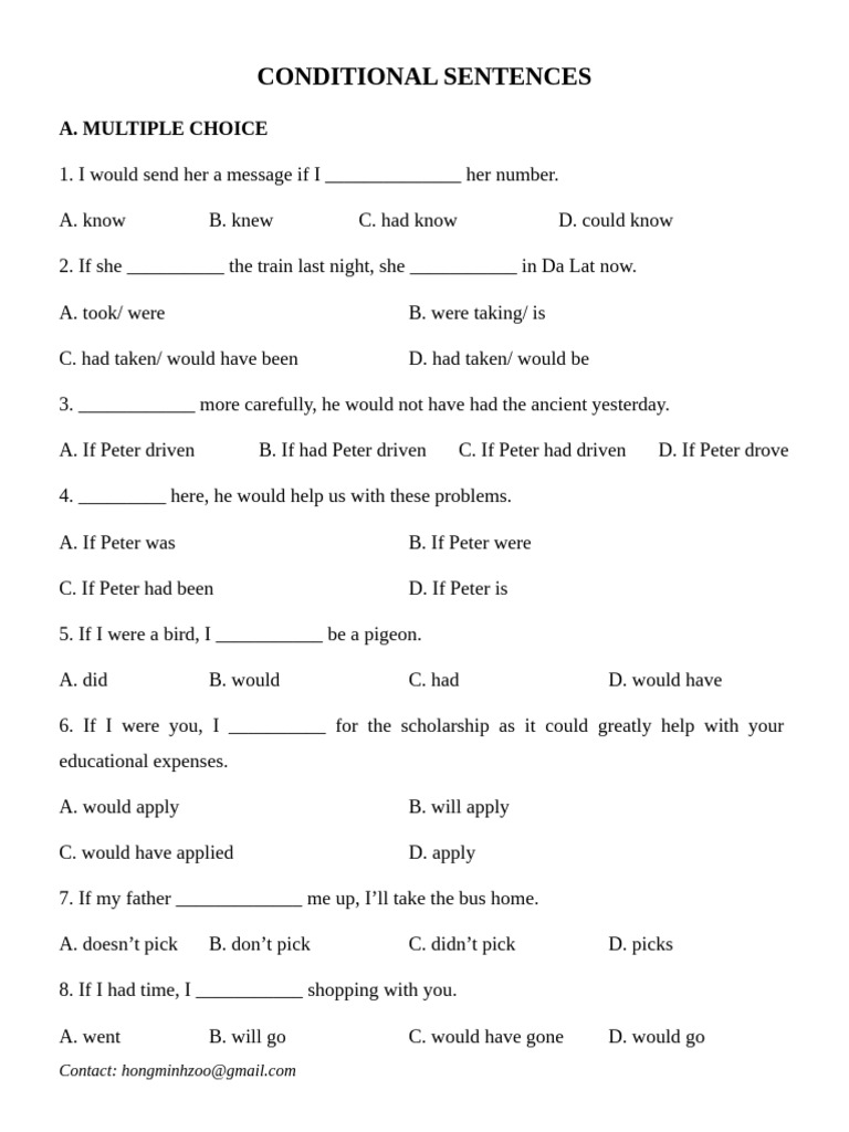 Conditional Sentences Ex | PDF