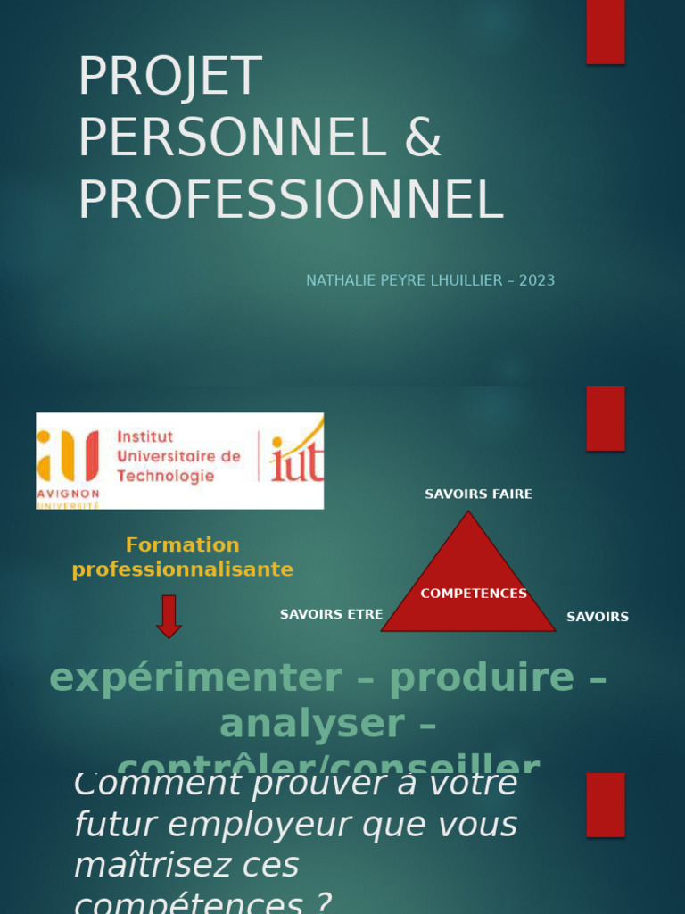 Diapo Amphi Projet Personnel & Professionnel Intoduction 2 | PDF