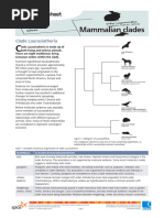 Primate Chart | PDF | Monkey | Ape