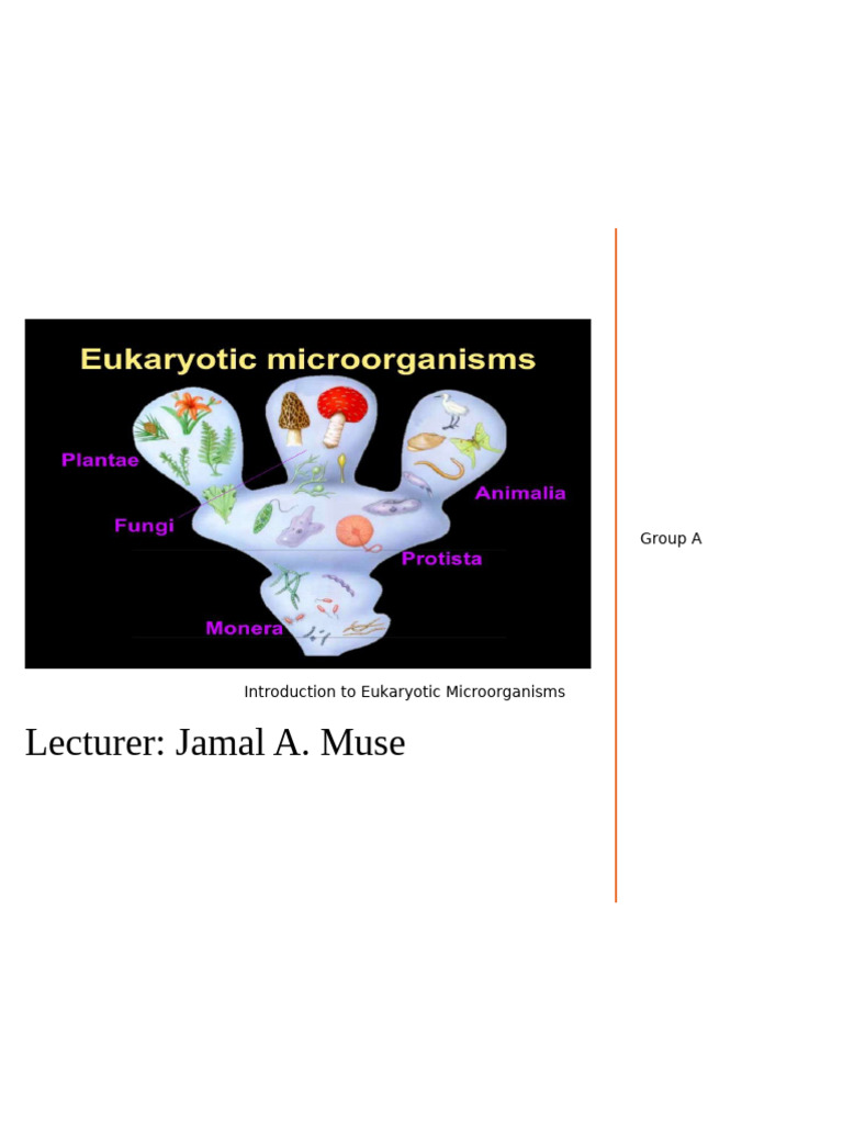 Introduction To Eukaryotic Microorganisms | PDF | Microorganism | Fungus