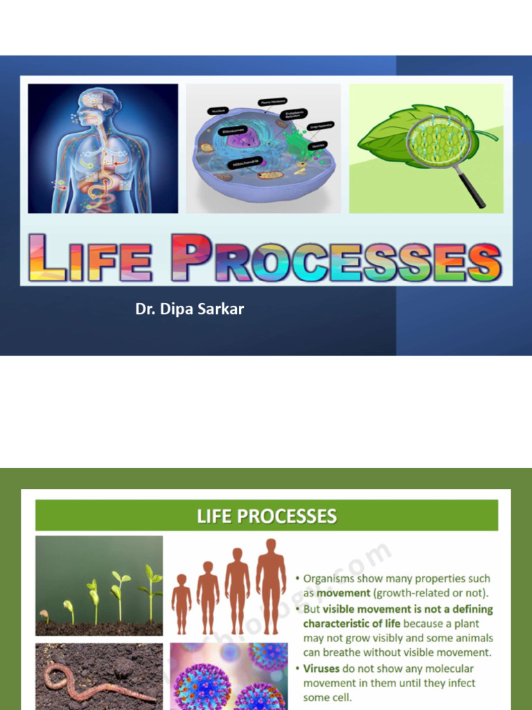 Life Processes in Animals and Plants Detailed | PDF