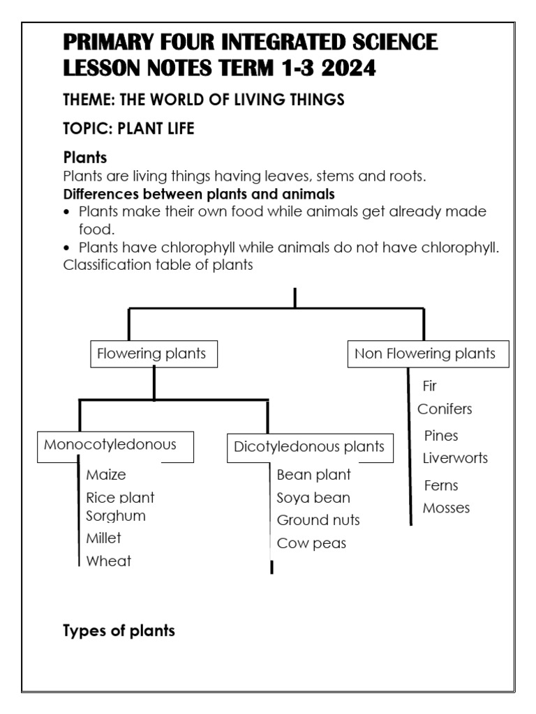 Primary Four Science Notes: Plant Life | PDF | Seed | Pollination