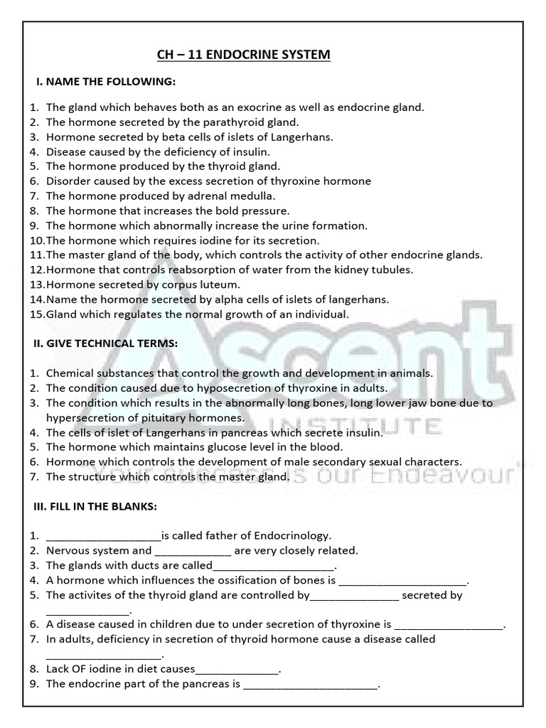 CH- 11 ( worksheet ) biology | PDF | Endocrine System | Hormone