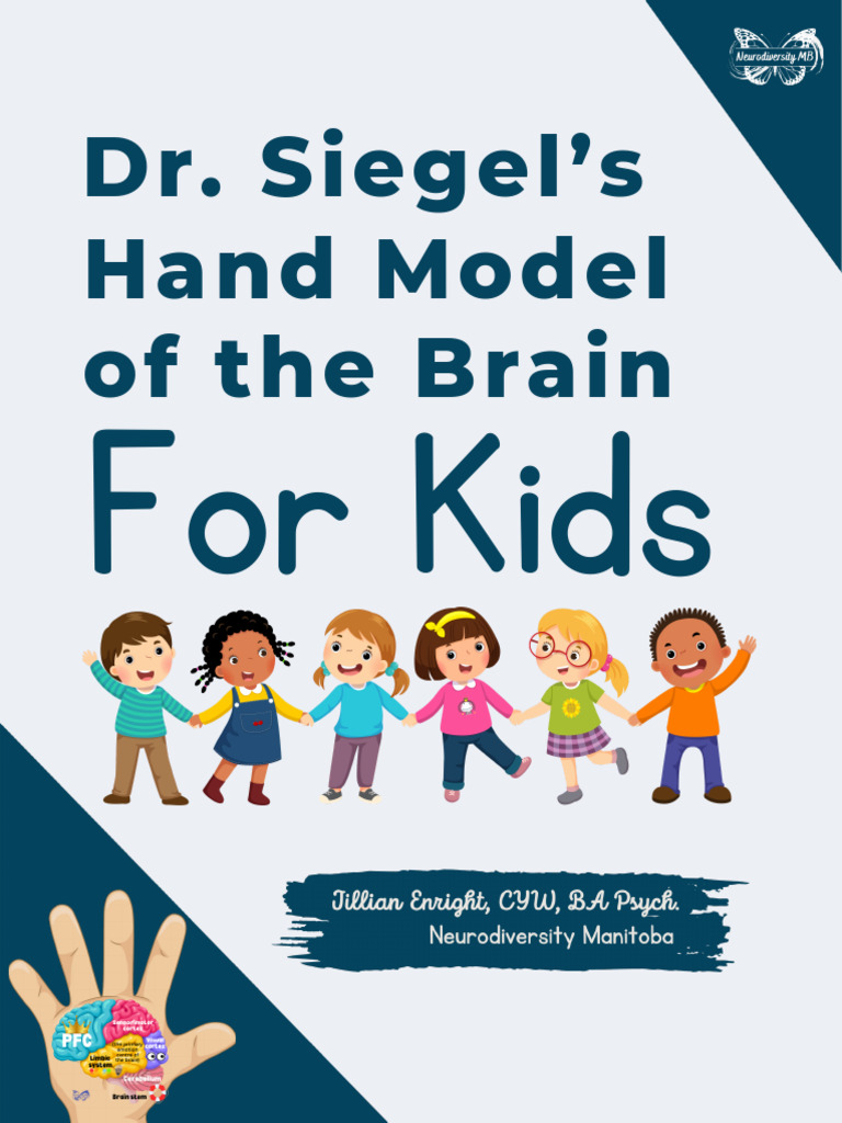 Hand Model of The Brain For Kids | PDF | Prefrontal Cortex | Emotions