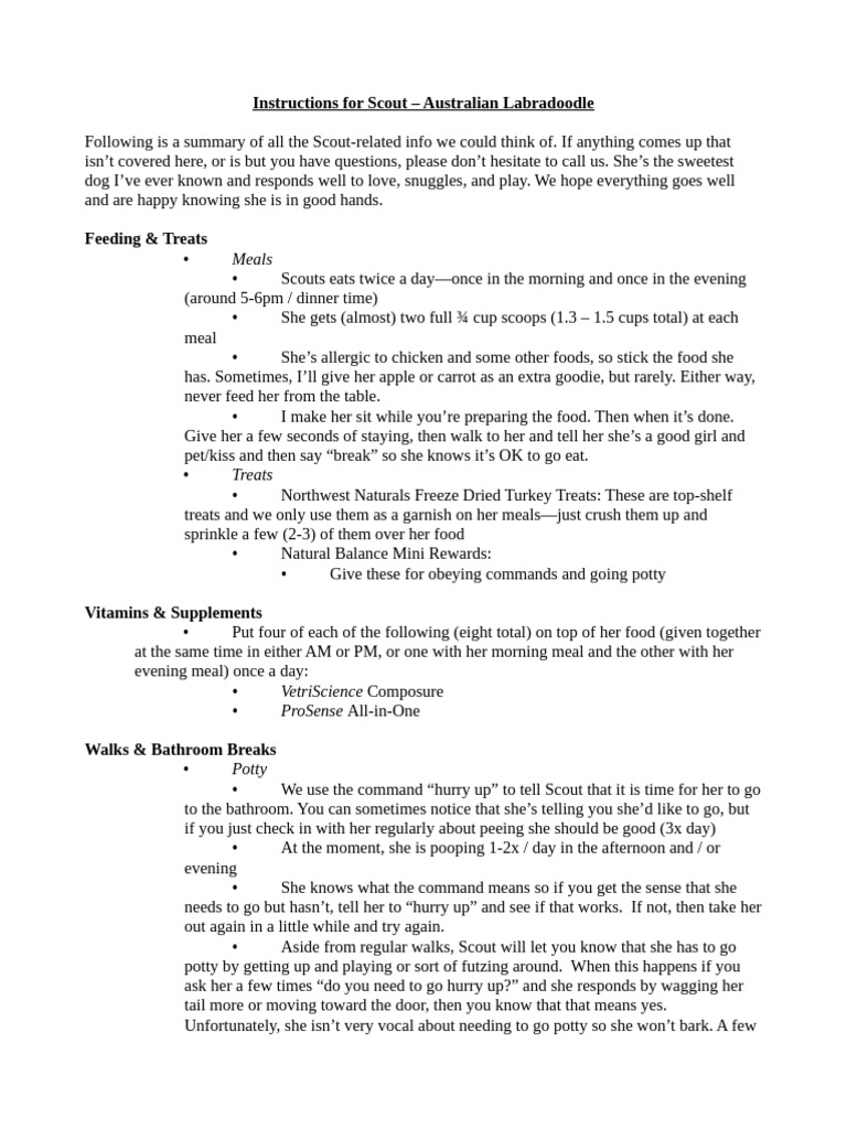 Instructions For Scout | PDF