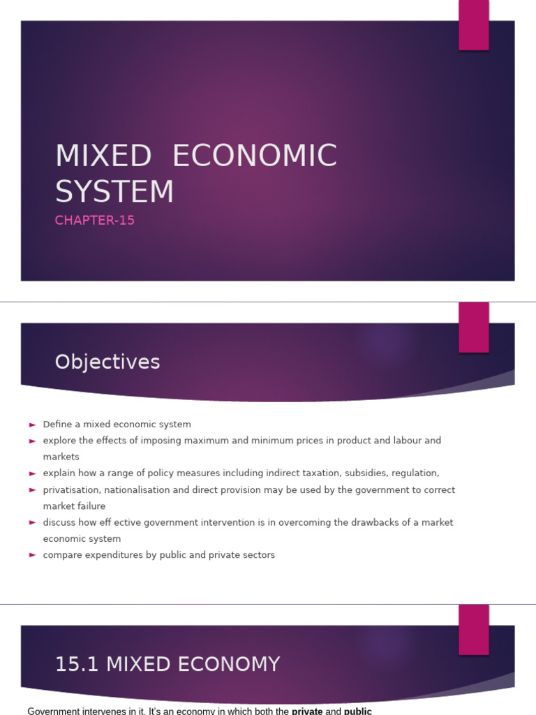 Chp-15 Mixed Economy System | PDF | Subsidy | Taxes