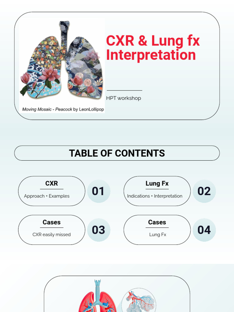 Respiratory HPT | PDF | Lung | Thorax