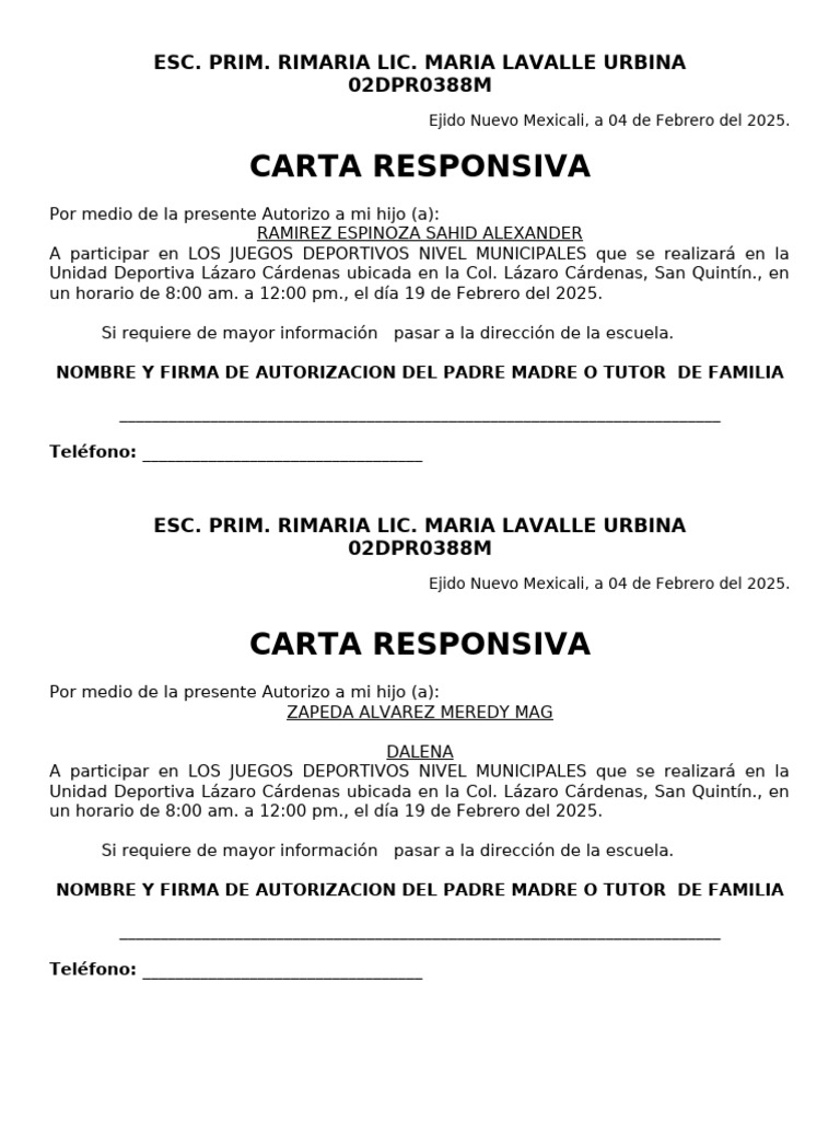 Carta Responsiva | PDF