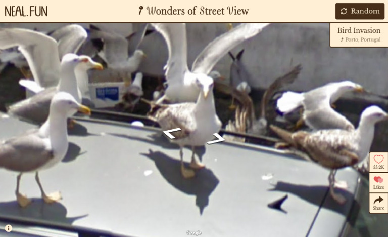 Wonders of Street View | PDF