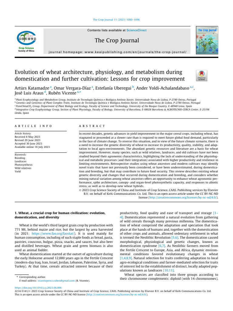 Evolution of Wheat Architecture, Physiology, And Metabolism During Domestication and Further ...