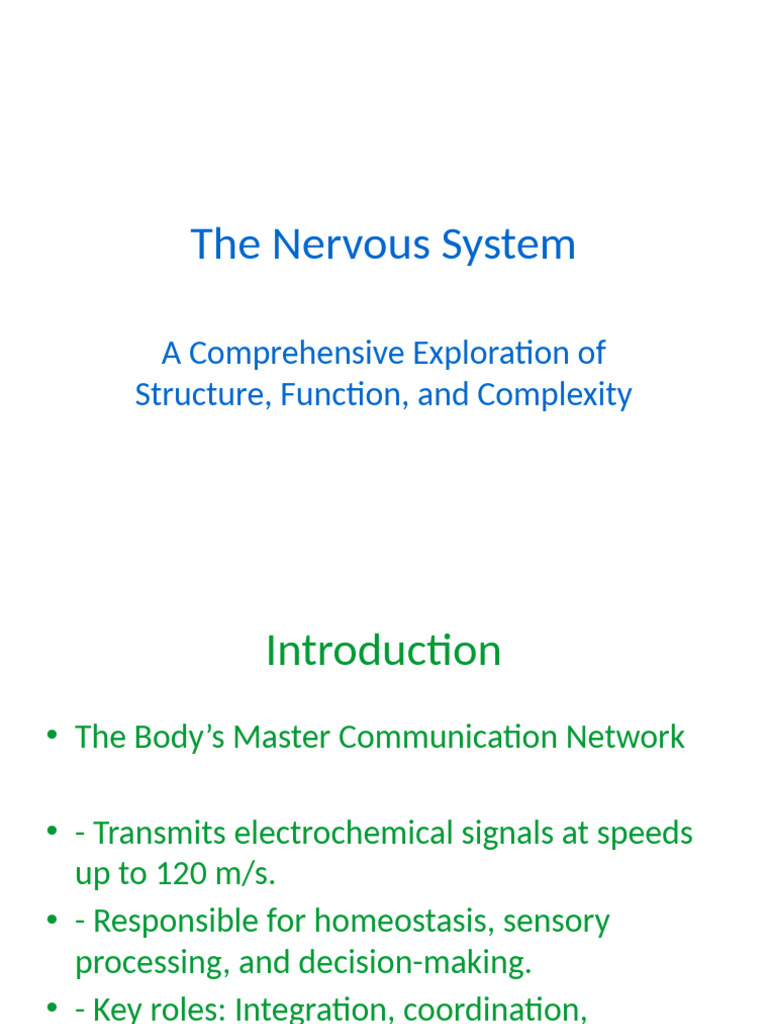 Nervous System Presentation Final | PDF