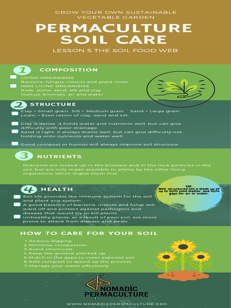 35704776-LESSON-5 | PDF