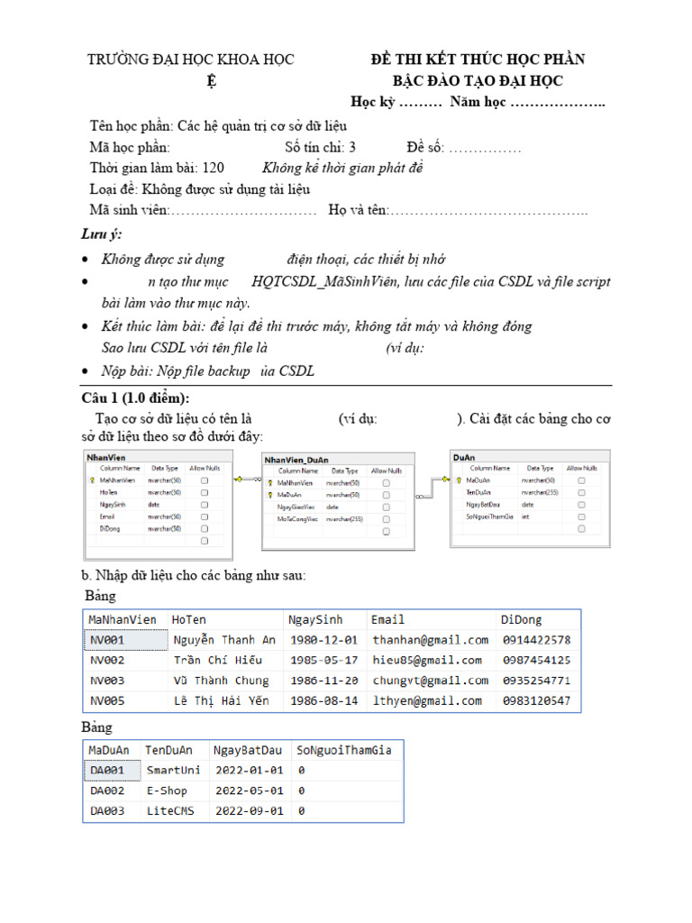 De Thi Mau - 01 | PDF