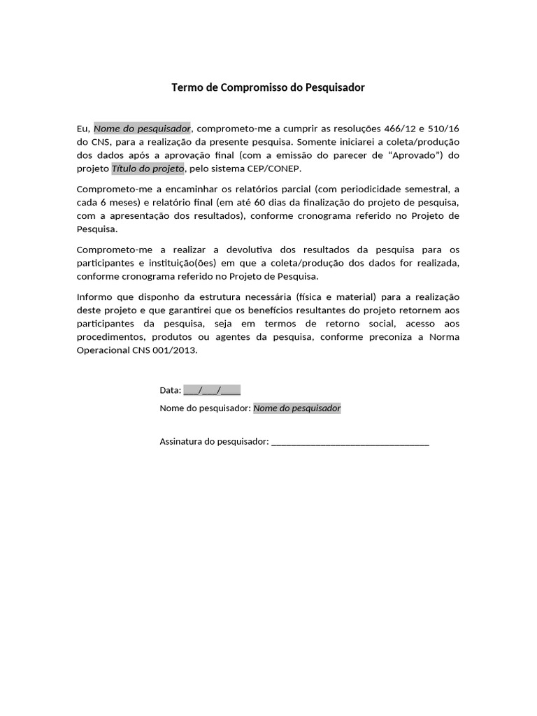 Modelo Termo Compromisso Pesquisador | PDF