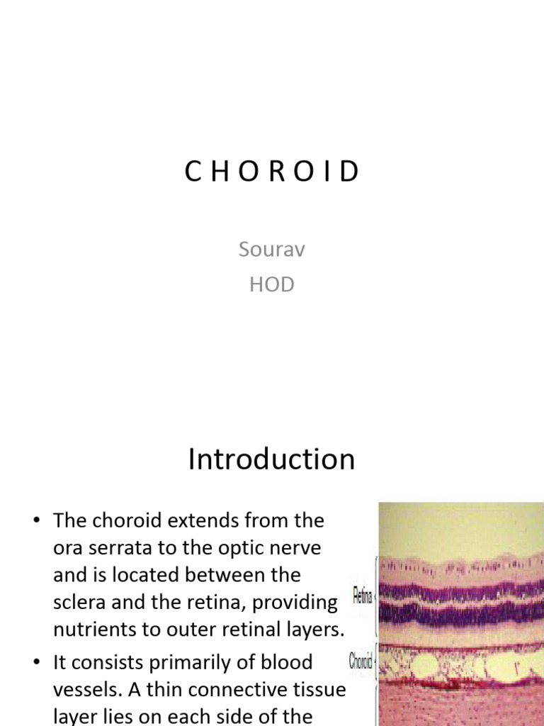Anatomy of Choroid | PDF | Anatomy | Morphology (Biology)