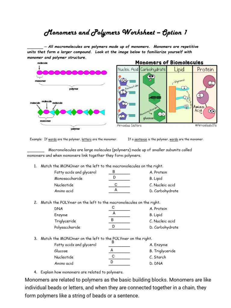 Kami Export - Malachi Thomas - Plmonomer - Polymer - Worksheet - 1 PDF | PDF | Macromolecules ...