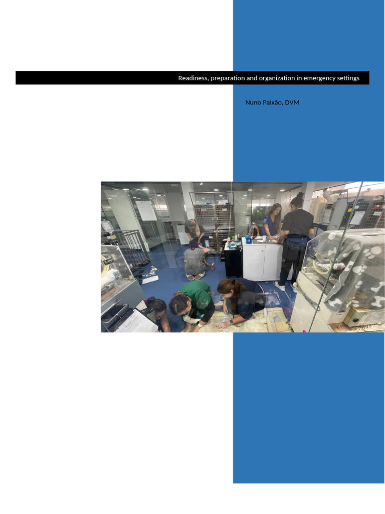 Readiness, Preparation and Organization in Emergency Settings | PDF ...