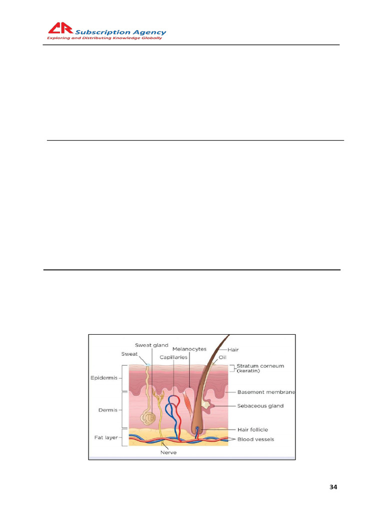 Herbal Anti-Acne Cream Formulation Study | PDF | Topical Medication | Skin