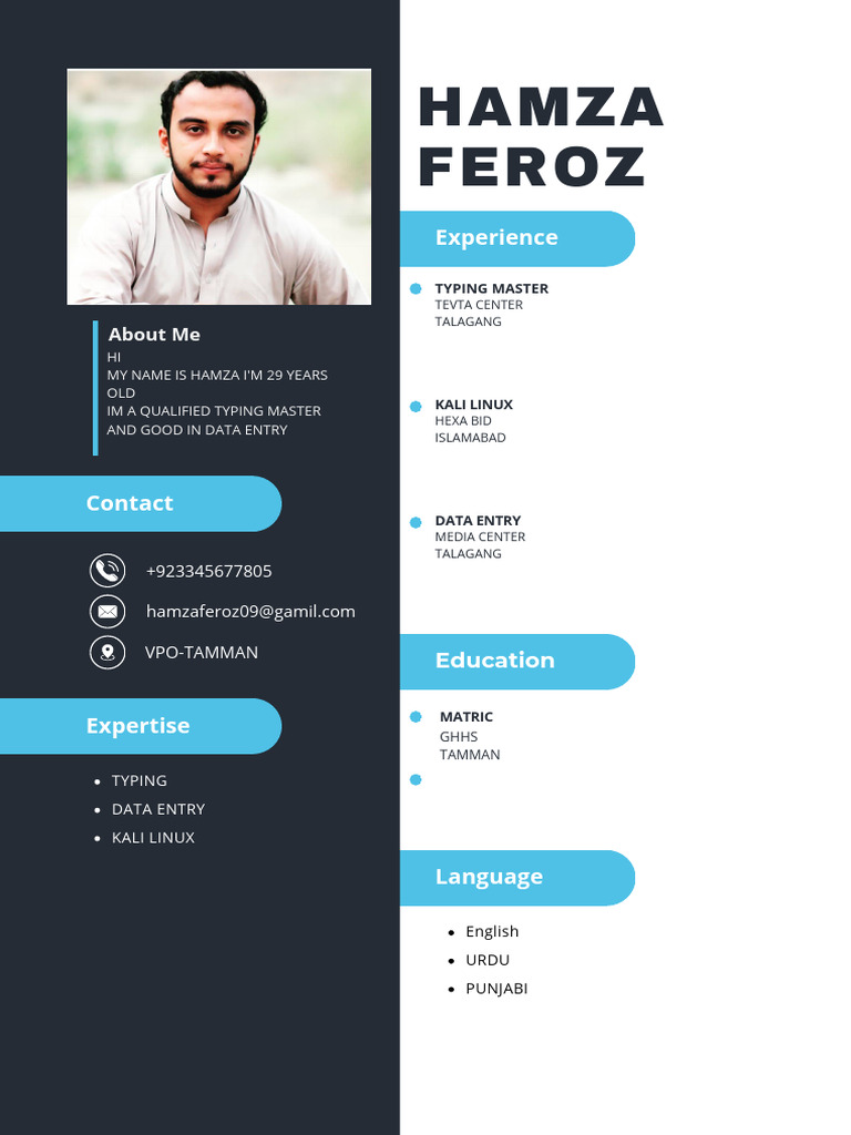 Hamza Resume | PDF