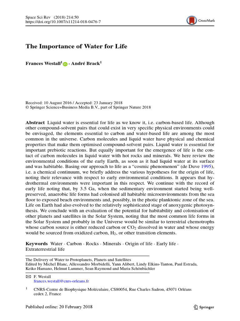 Water's Role in Origin of Life | PDF | Abiogenesis | Hydrothermal Vent