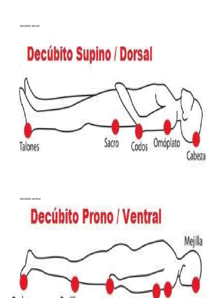 Decúbito Dorsal | PDF