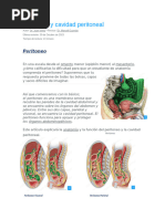 Omentos mayor y menor_ Anatomía, ubicación y función _ Kenhub | PDF ...