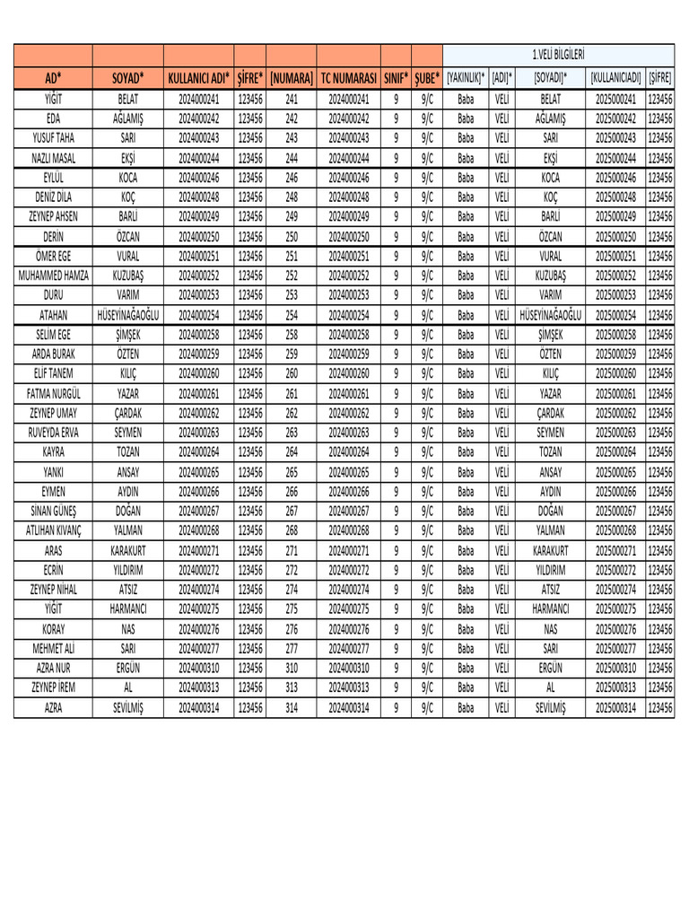 AD Soyad Kullanici Adi Fre (Numara) TC Numarasi Sinif Ube | PDF