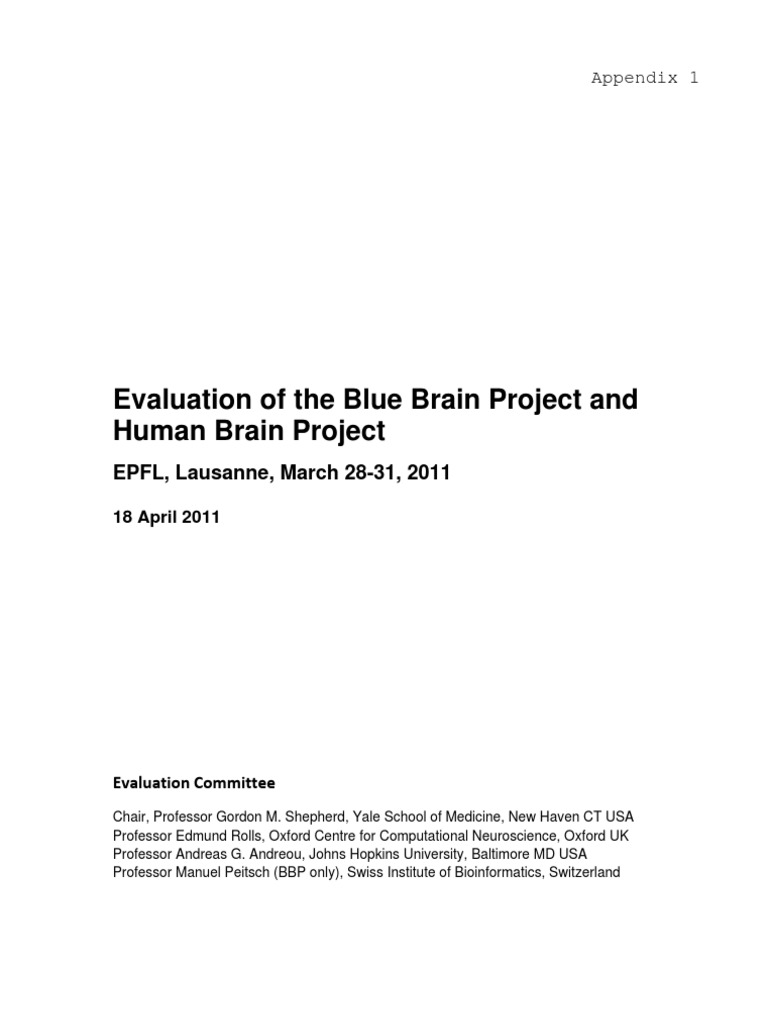 Evaluation of The Blue Brain Project and Human Brain Project | PDF ...