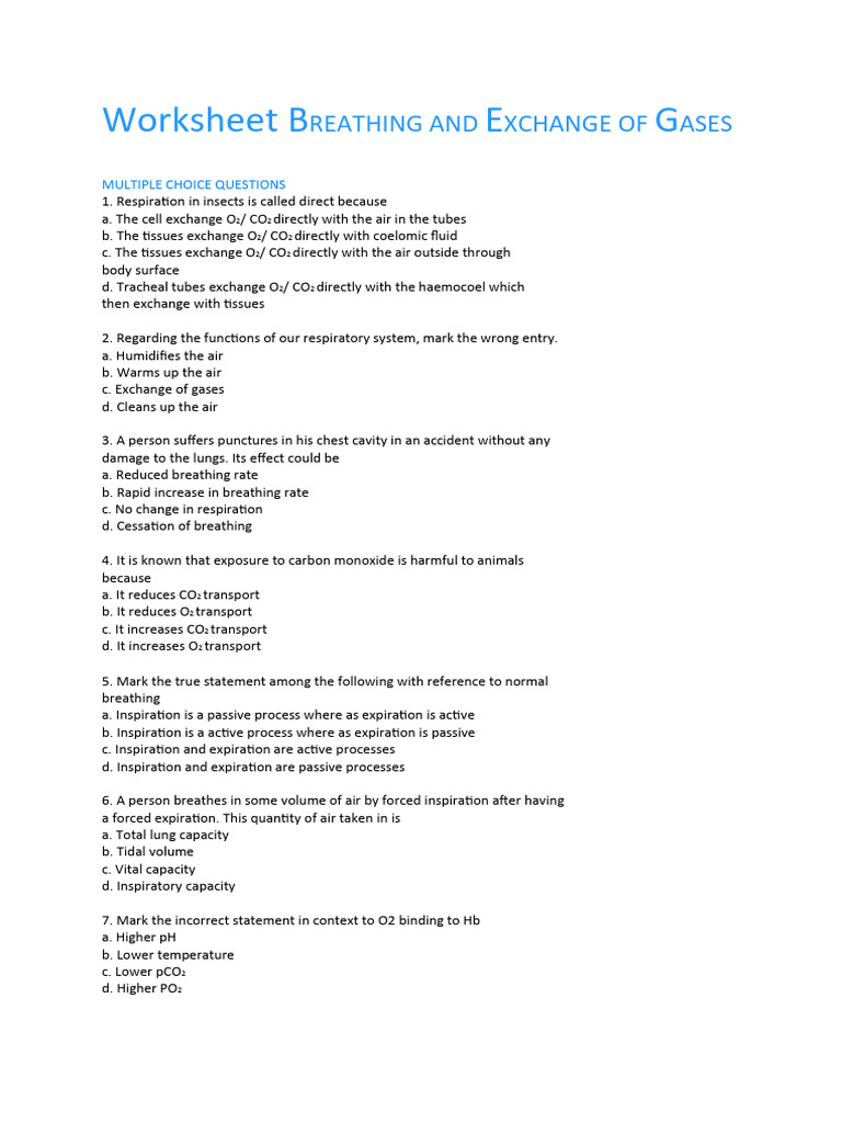 Worksheet Breathing and Exchange of Gases | PDF | Respiratory System | Lung