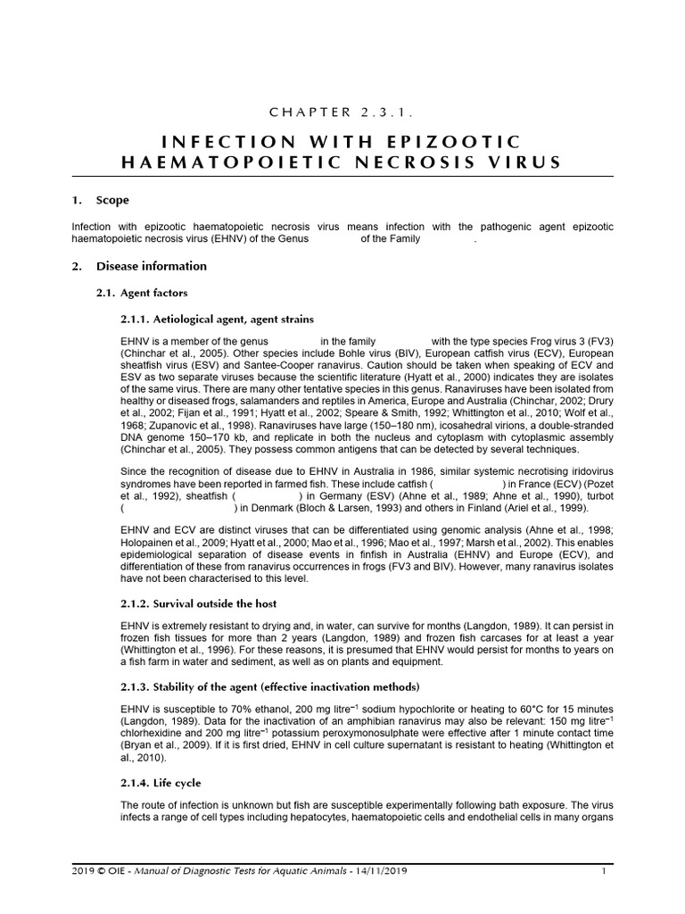 Epizootic Haematopoietic Necrosis Virus Overview | PDF | Elisa | Virus
