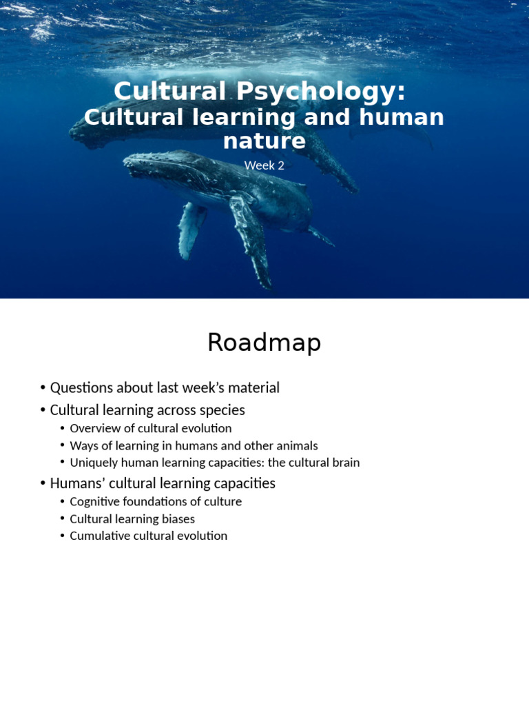 Lecture 2 - Cultural Learning | PDF | Learning | Imitation