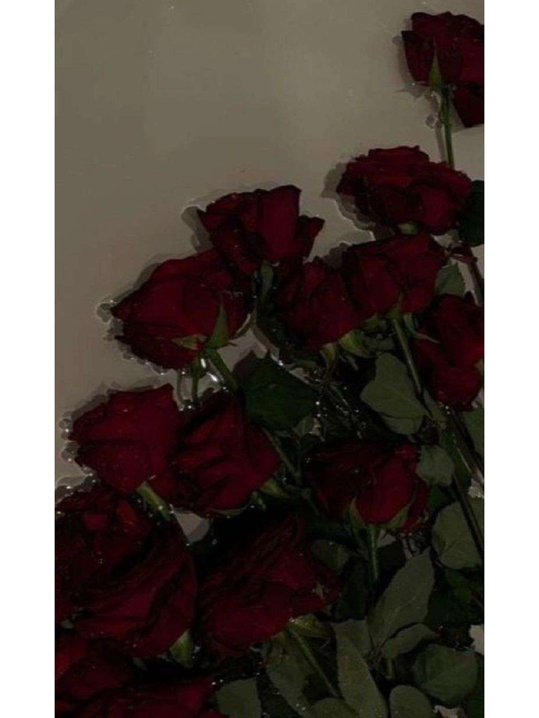 Red rose | PDF