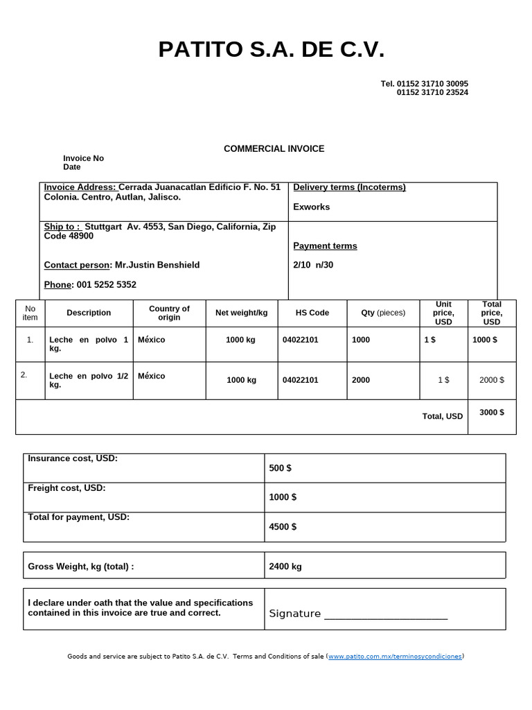 Commercial Invoice for Leche en Polvo | PDF