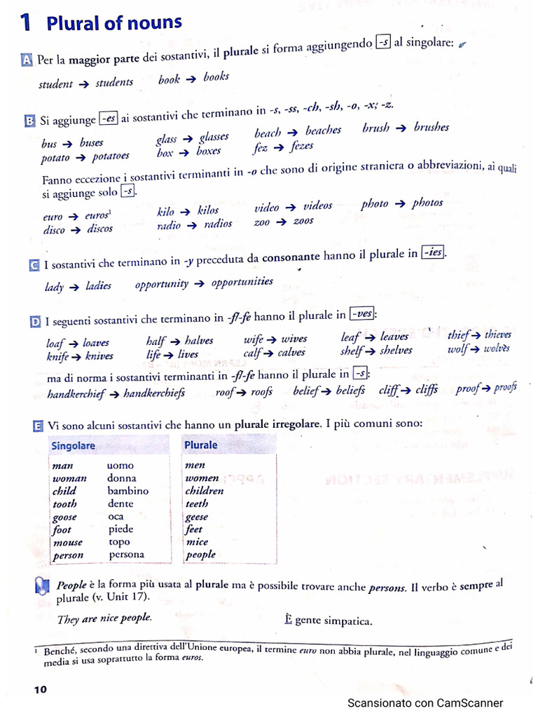 Basic Grammar | PDF
