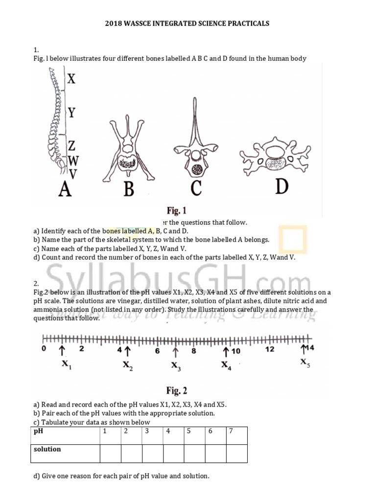 2018 Wassce Integrated Science Practicals | PDF