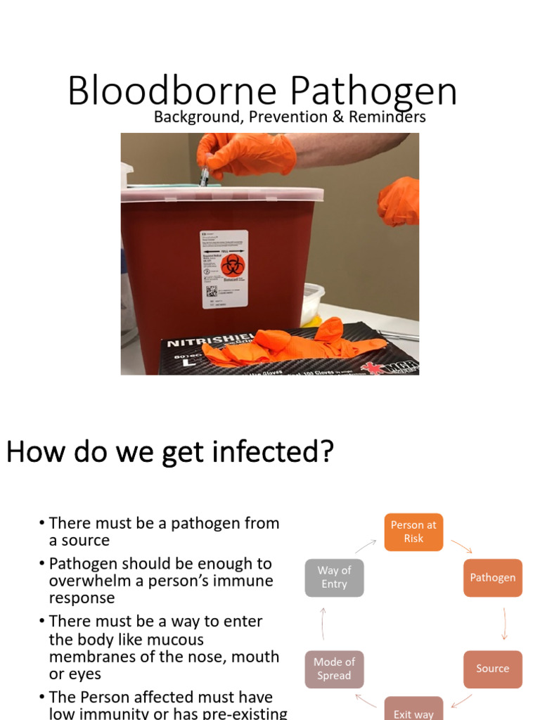 Bloodborne+Pathogen+Training+by+Tin | PDF | Hepatitis | Hepatitis B