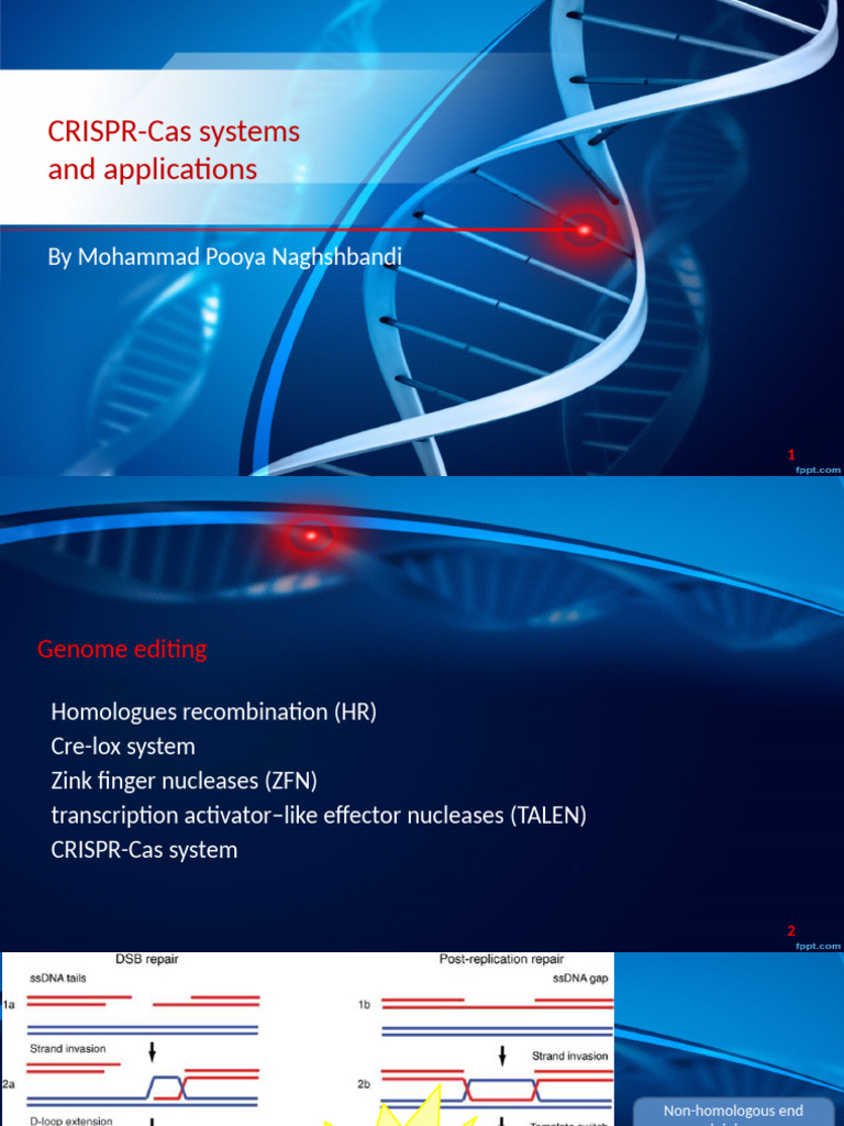 crispr-190226202935 | PDF | Crispr | Dna