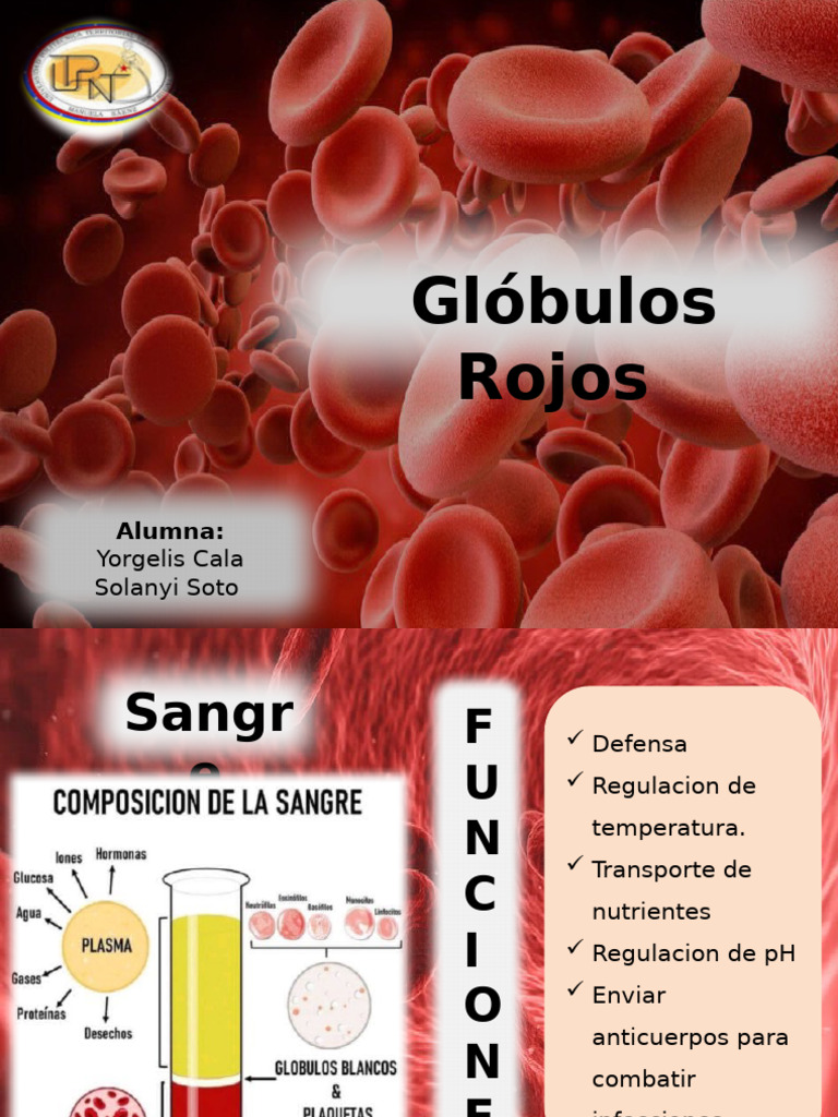Funciones y Estructura de Glóbulos Rojos | PDF