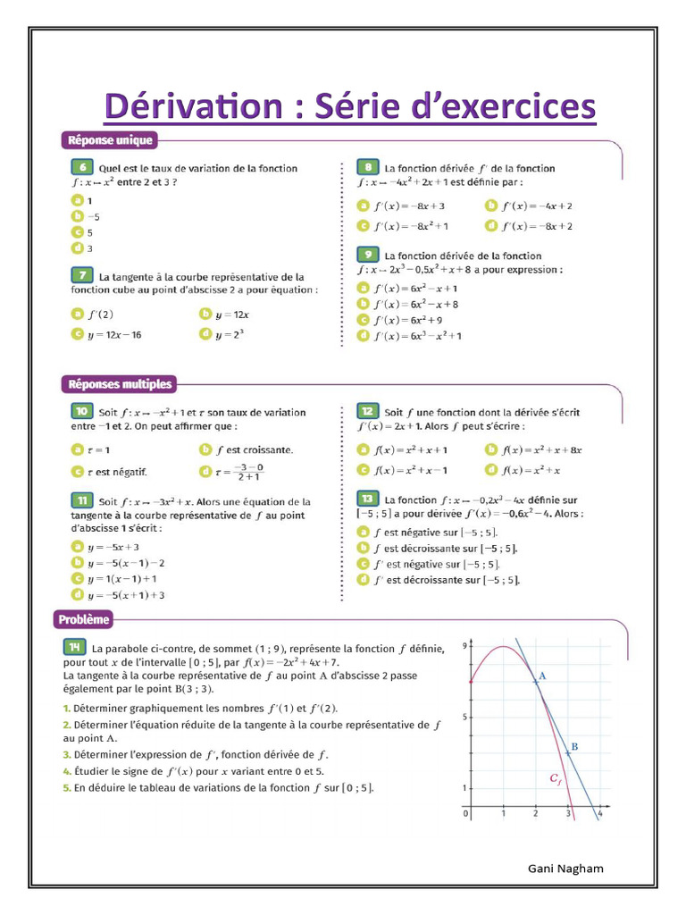 Dérivation Série D'exercices | PDF
