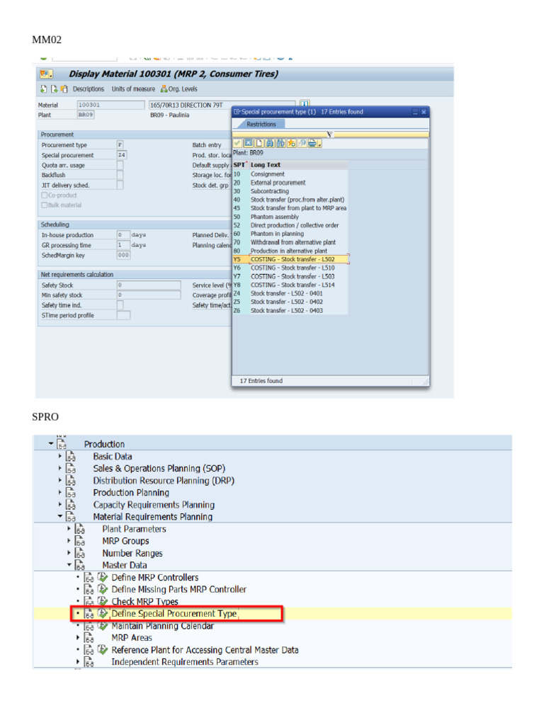 SPRO - Define Special Procurement Type | PDF