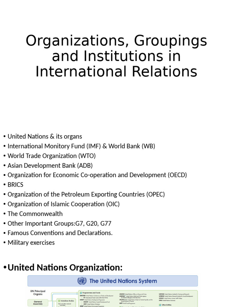 International Org | PDF | World Trade Organization | United Nations