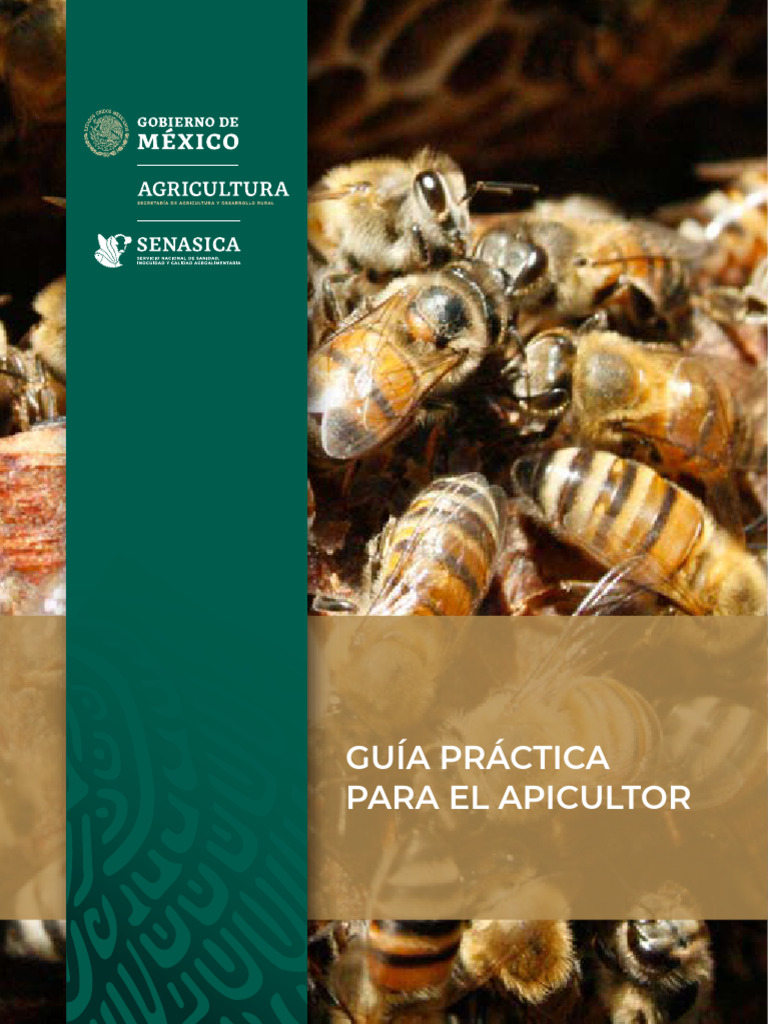 Gu A PR Ctica Del Apicultor | PDF | Apicultura | Colmena