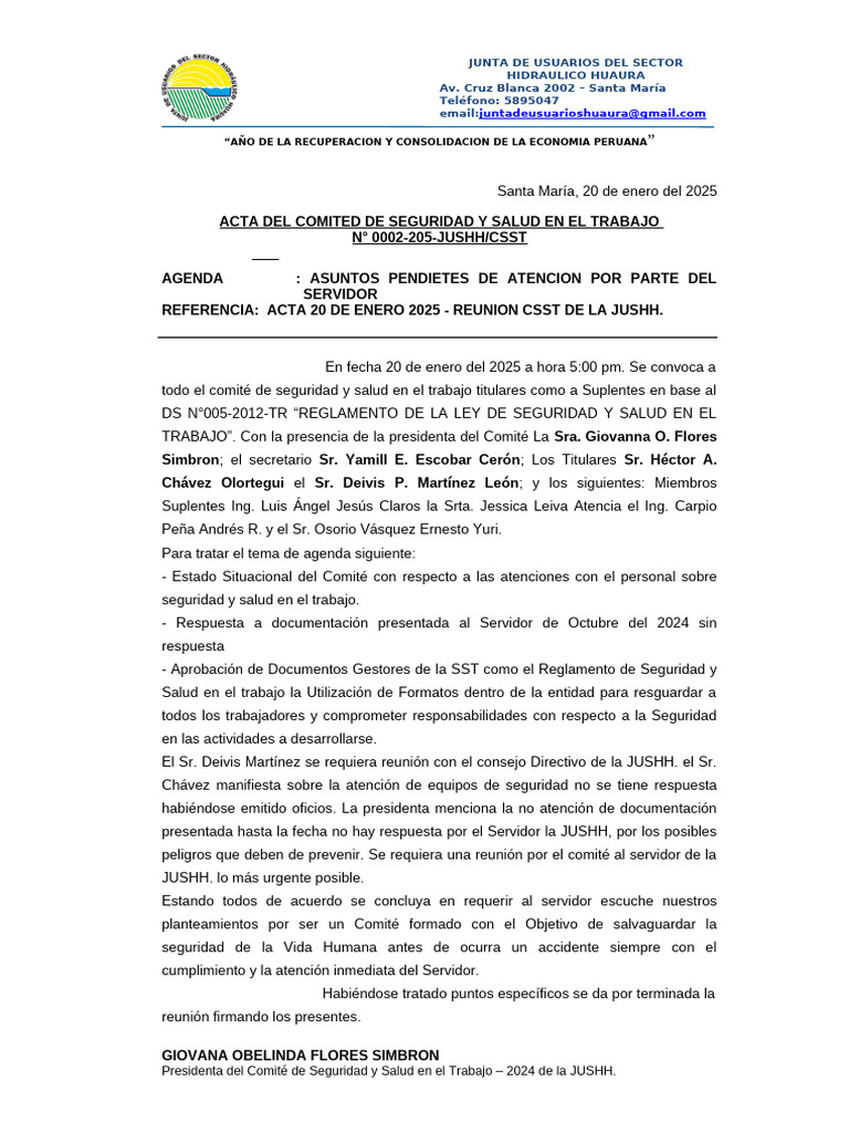 Acta N°002 - CSST-21 Enero 2025 | PDF | Gobierno
