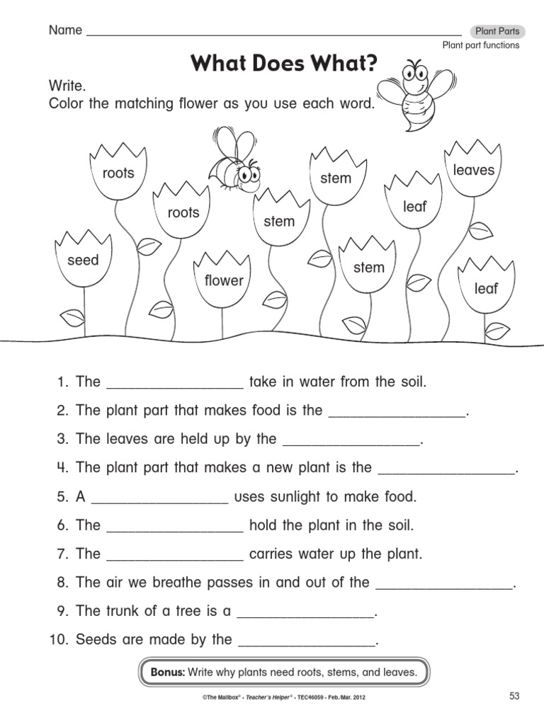 Science Worksheet Plant Part Functions | PDF