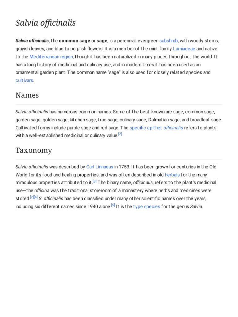 Overview of Salvia officinalis (Sage) | PDF | Herbs And Spices ...