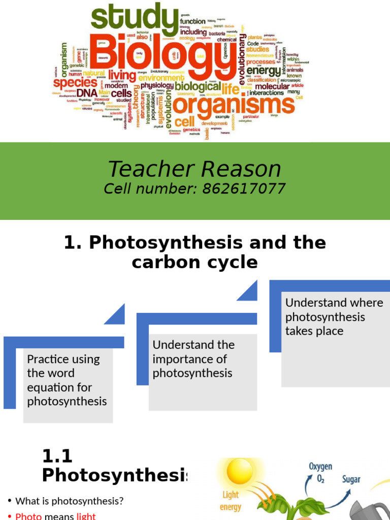 Understanding Photosynthesis Basics | PDF