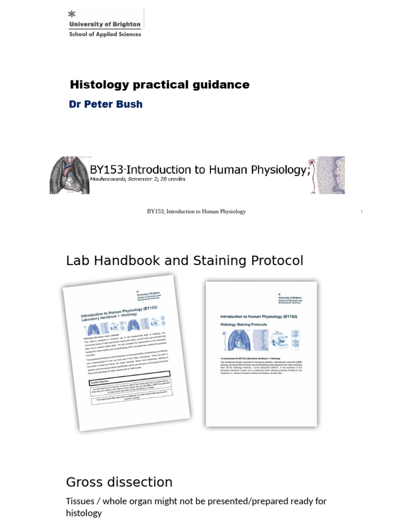 Hitology Lab Prep - Tagged | PDF | Histology | Staining